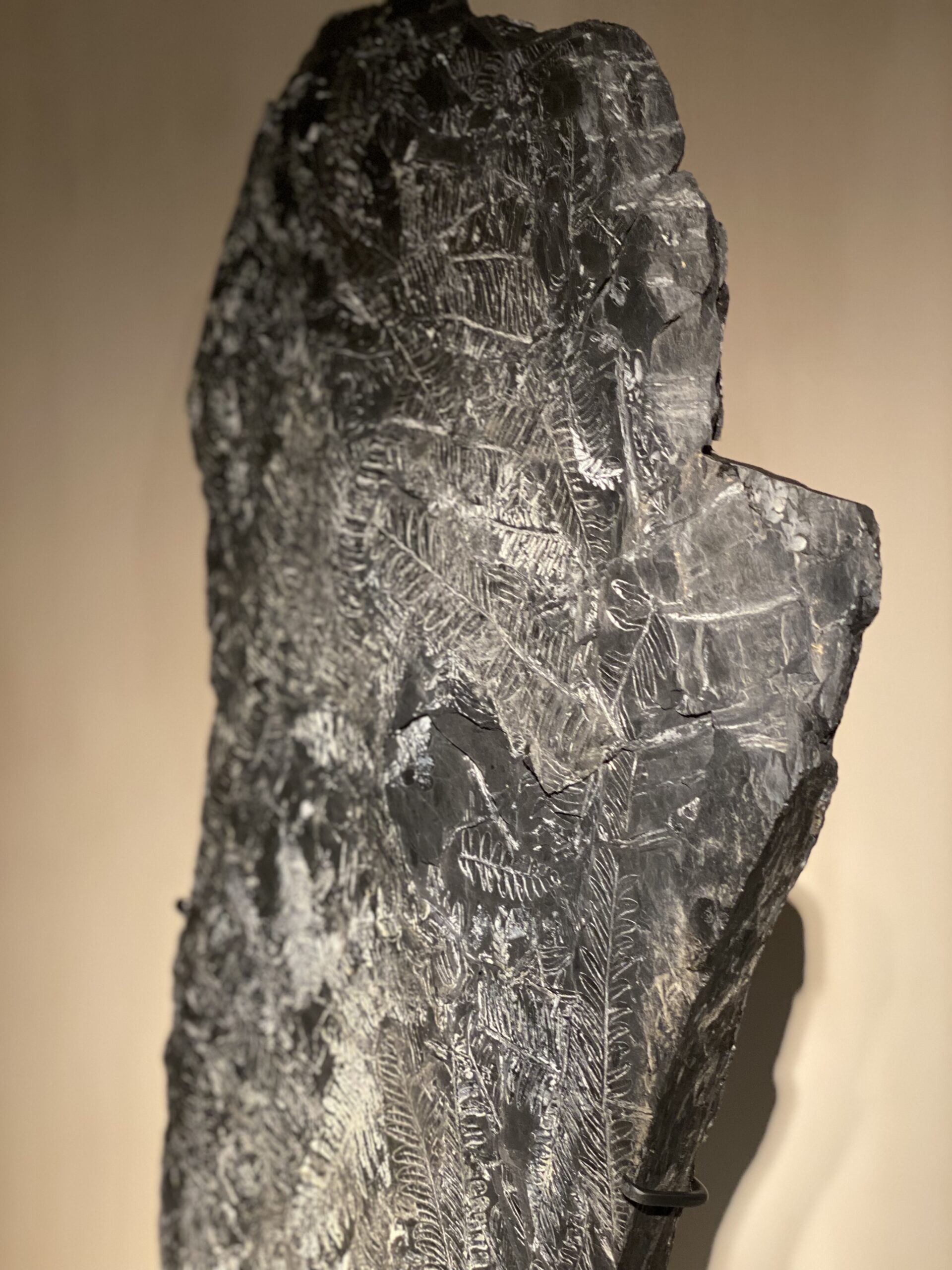 Large fossil fern plate – Iconic Design